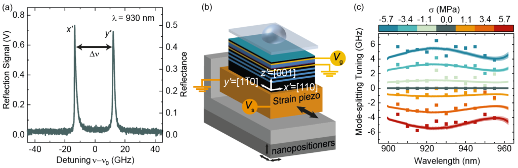 Tuning the polarization splitting of a microcavity with stress | Nano ...